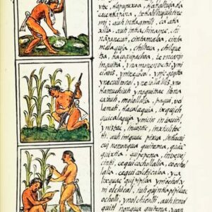 Daily Life of the Aztecs A Blend of Agriculture, Hierarchy, and Culture ...