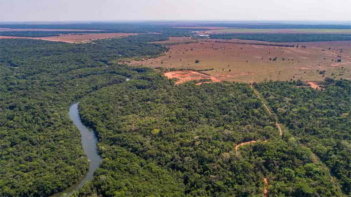 Unveiling Ancient Amazonian Agricultural Practices: The Mystery of ...